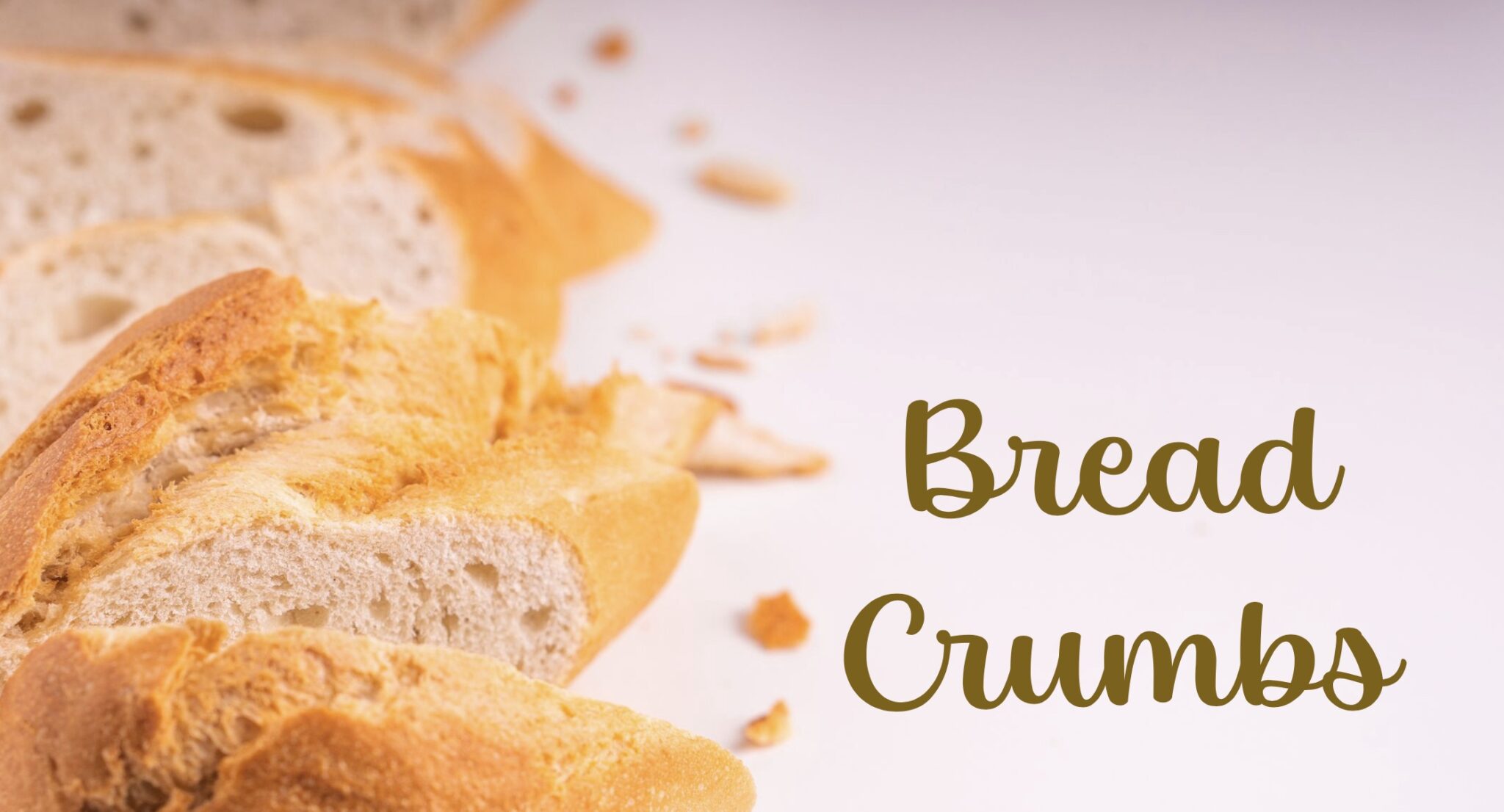 About Us – Torah Today